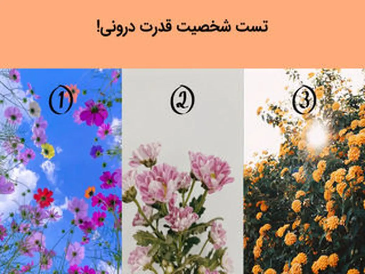 شخصیت شناسی یکی از گل ها رو انتخاب کن تا از قدرت درونی ات با خبر بشی
